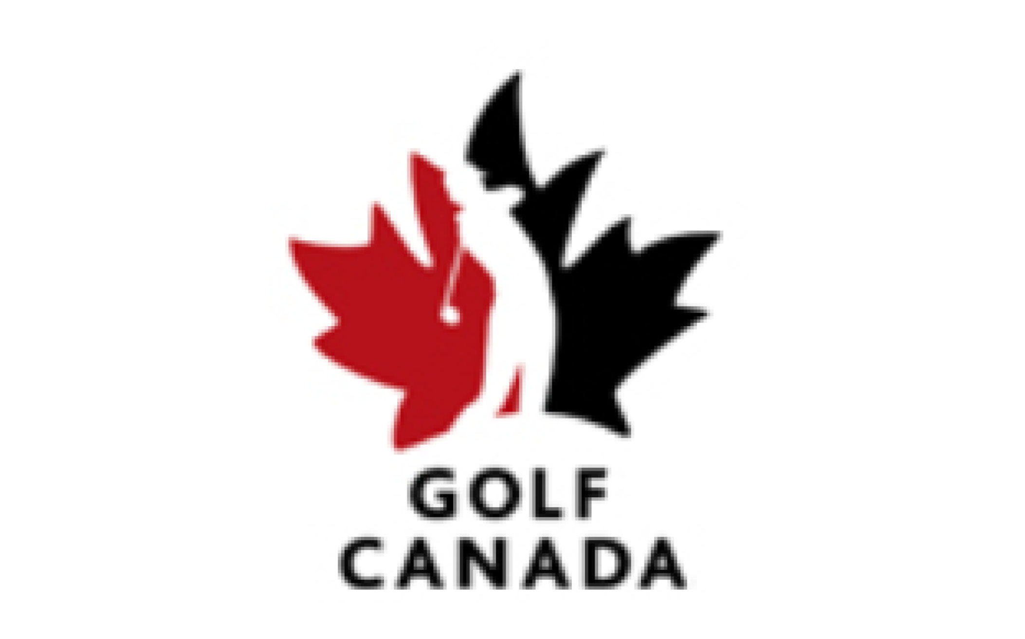 Volunteer Management Software | Volunteer Systems | Vome Volunteer